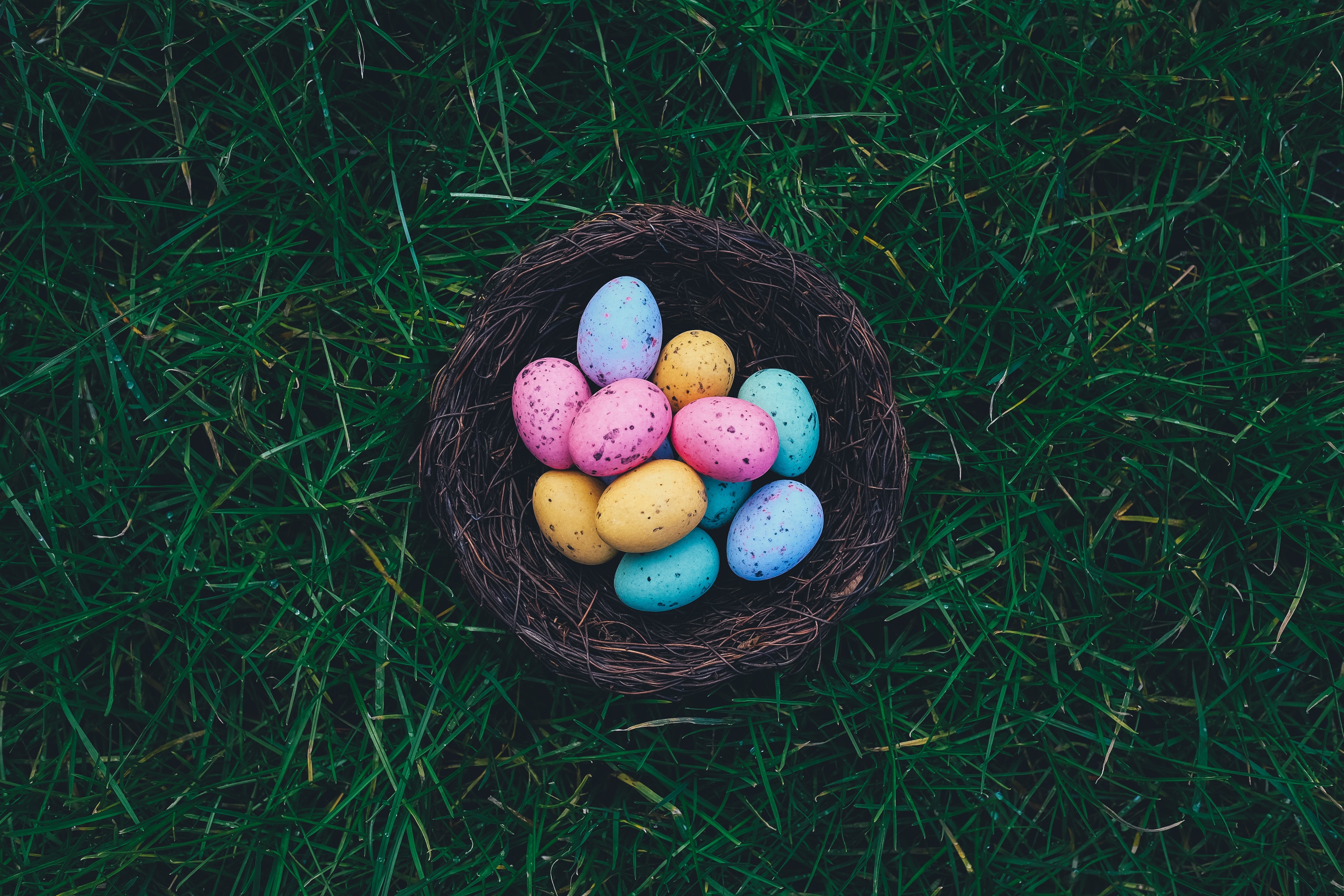 Top Tips for a Sustainable Easter